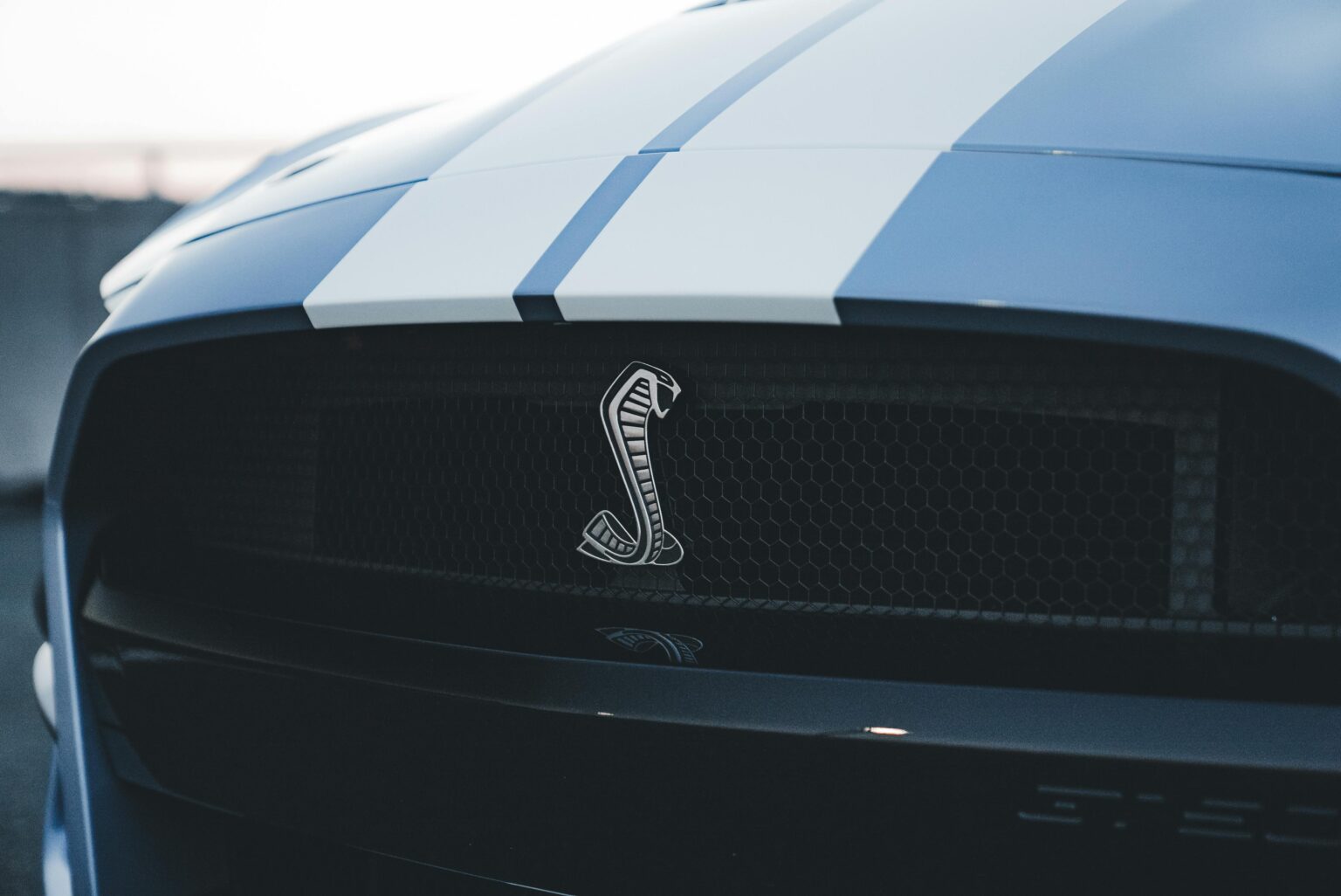Which Car Has Snake Logo? 3 Legendary Brands Unveiled