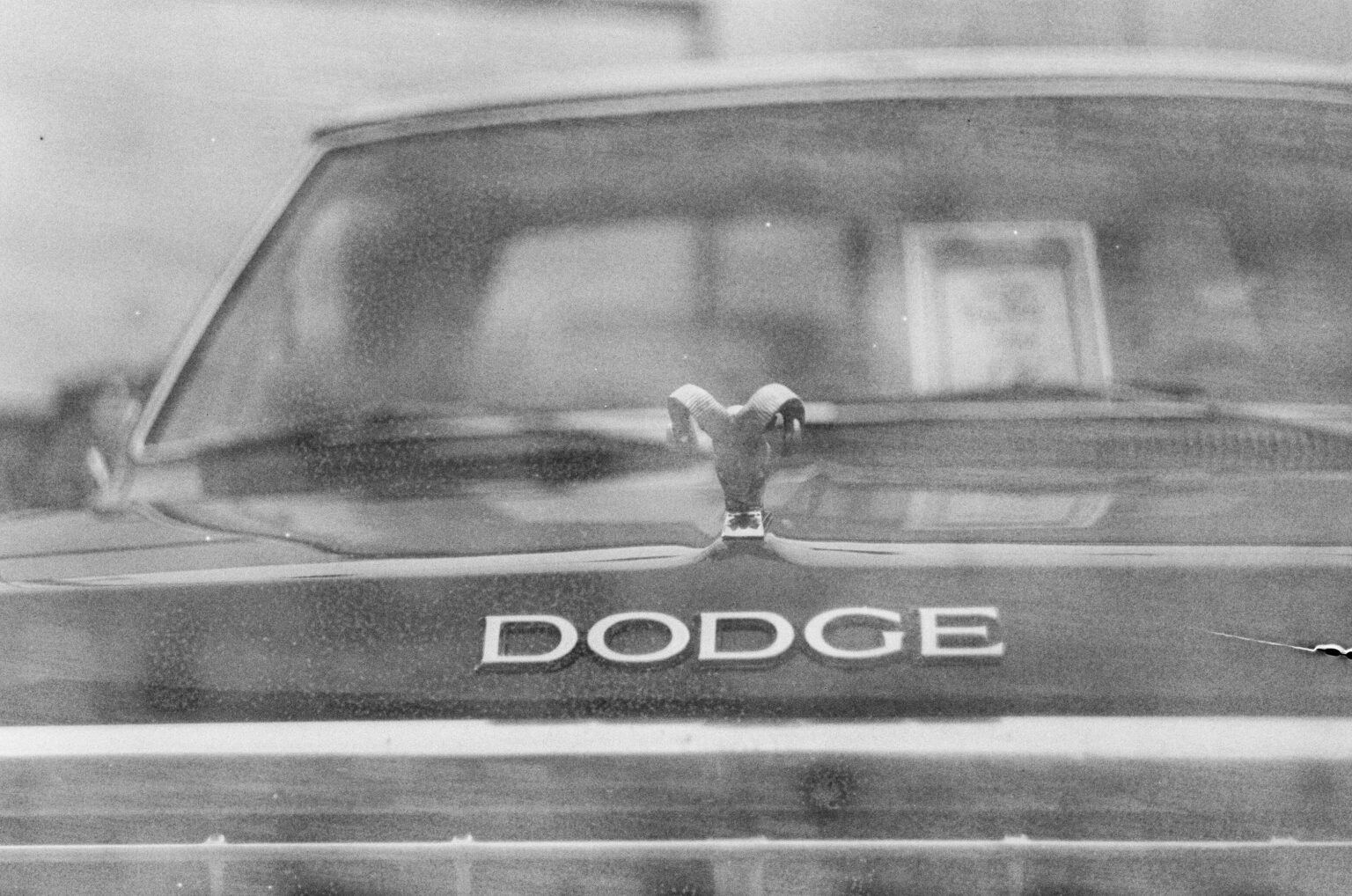 Which Car Has Snake Logo? 3 Legendary Brands Unveiled
